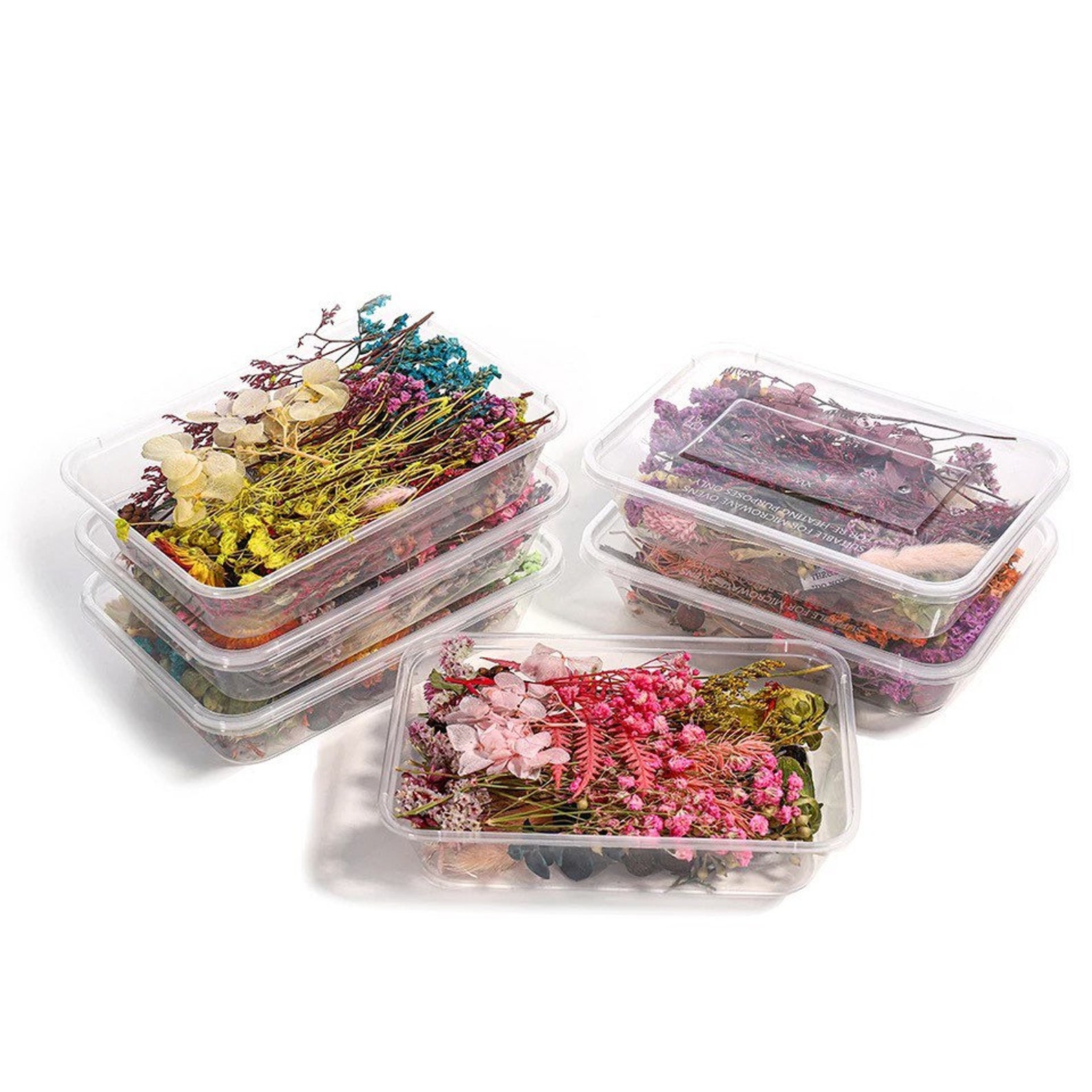 1 Box Random Real Dried Flowers - Etsy