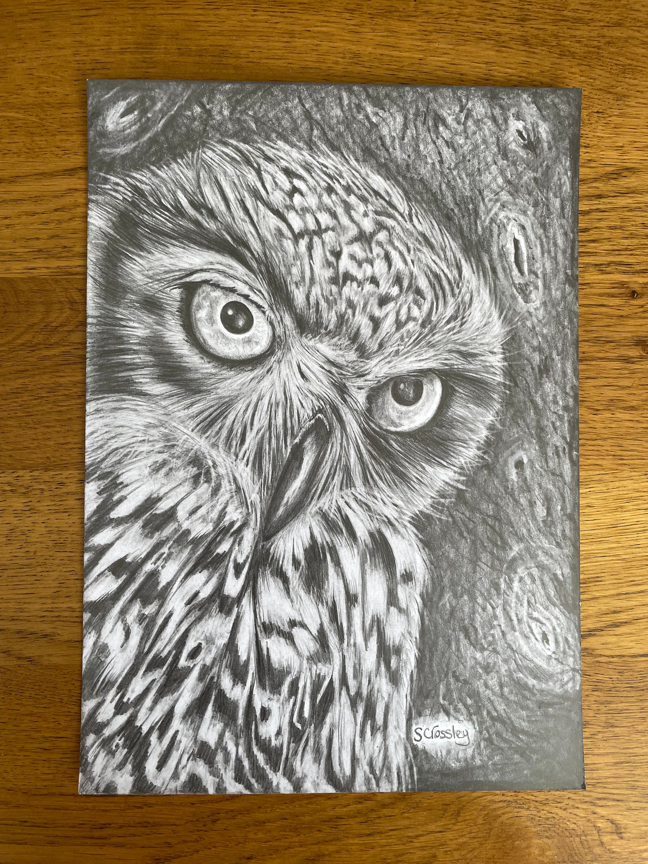 Owl Pencil Drawing Original Drawings Owl Art Wildlife - Etsy