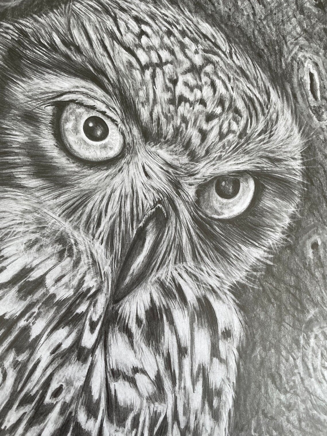 Owl Pencil Drawing Original Drawings Owl Art Wildlife - Etsy