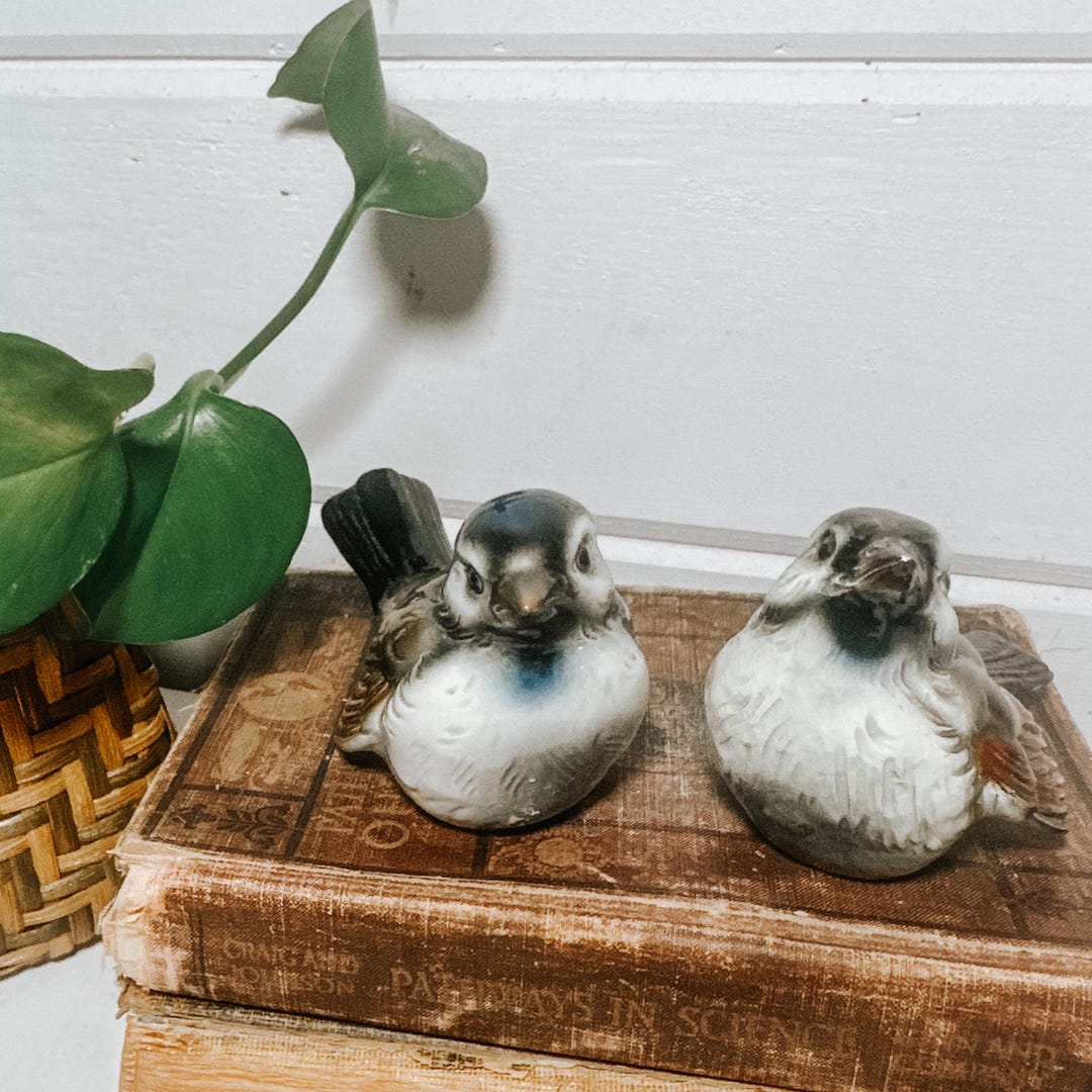 Vintage Goebel German Porcelain Birds Set of 2 - Etsy