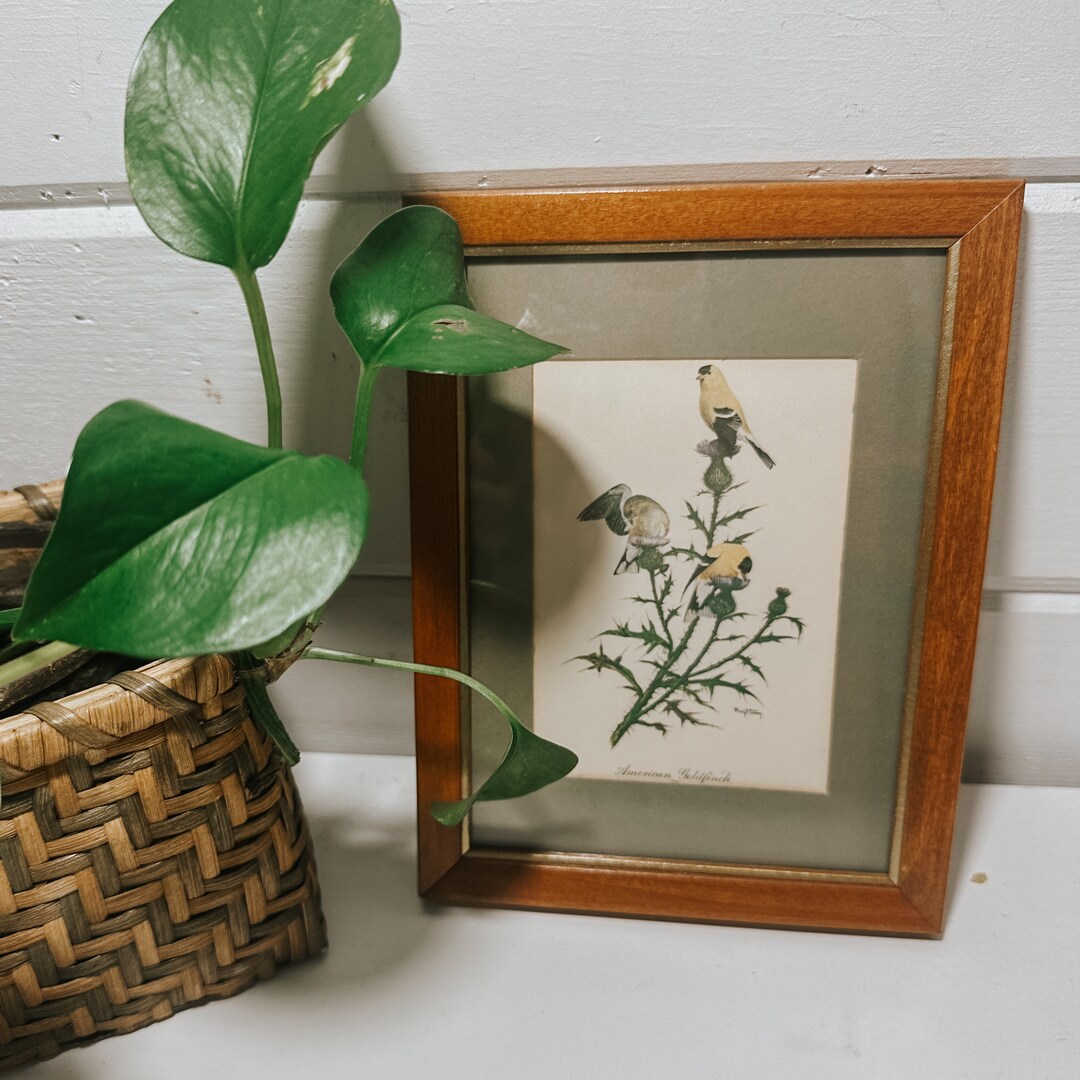 Vintage Bird Print Framed Wall Hanging | Cardinal | Ray Harm - Etsy