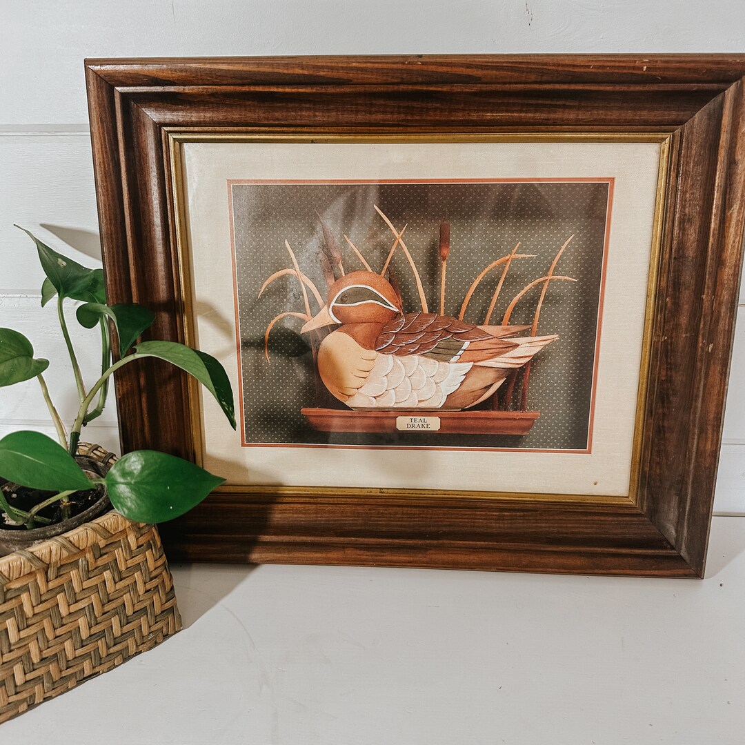 Vintage Drake Duck Framed Print Wall Hanging Duck Hunting, Cabin Decor ...