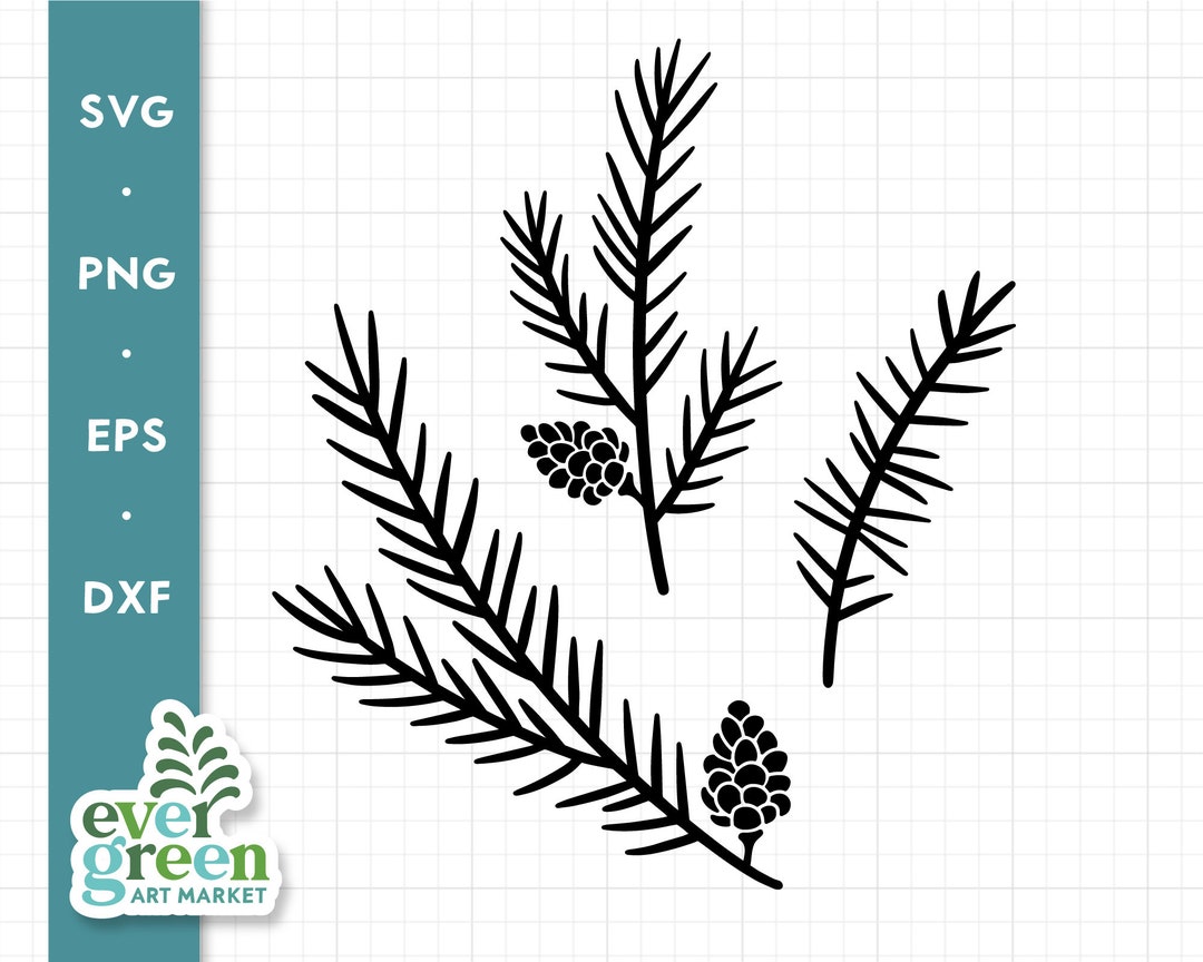 Pine Branch Svg, Pine Needles Svg, Pine Cone Svg, Pine Tree Svg, Fir ...