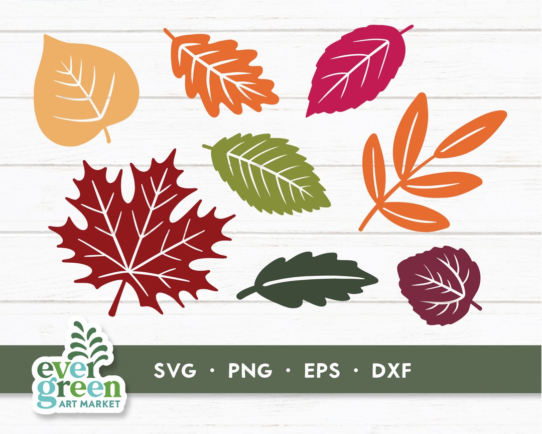 Fall Leaves Svg, Fall Leaf Bundle, Fall Leaf Shapes, Autumn Leaves Svg ...