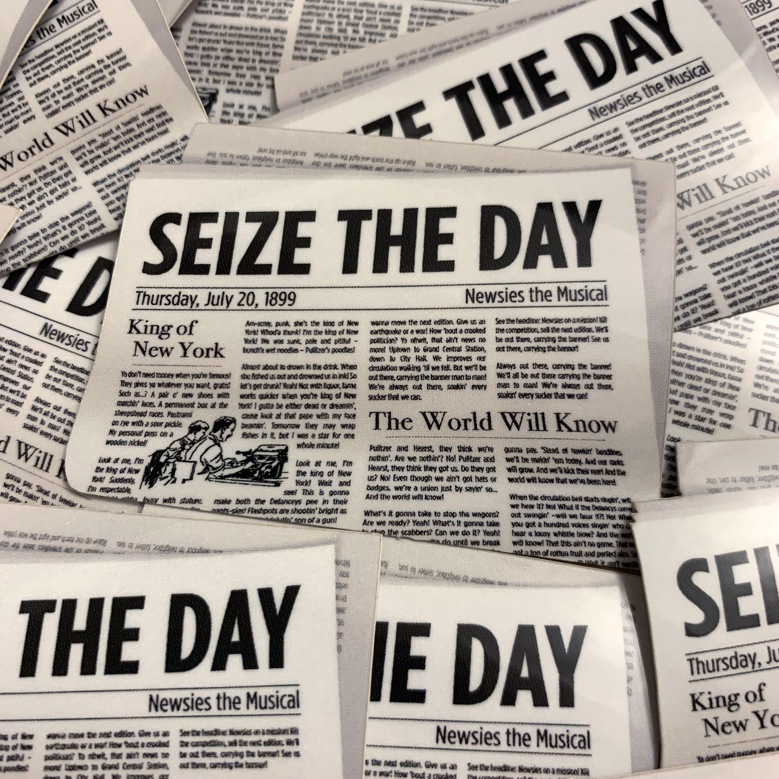 Newsies Seize the Day Sticker, Broadway Show, Musical Theater, Laptop ...