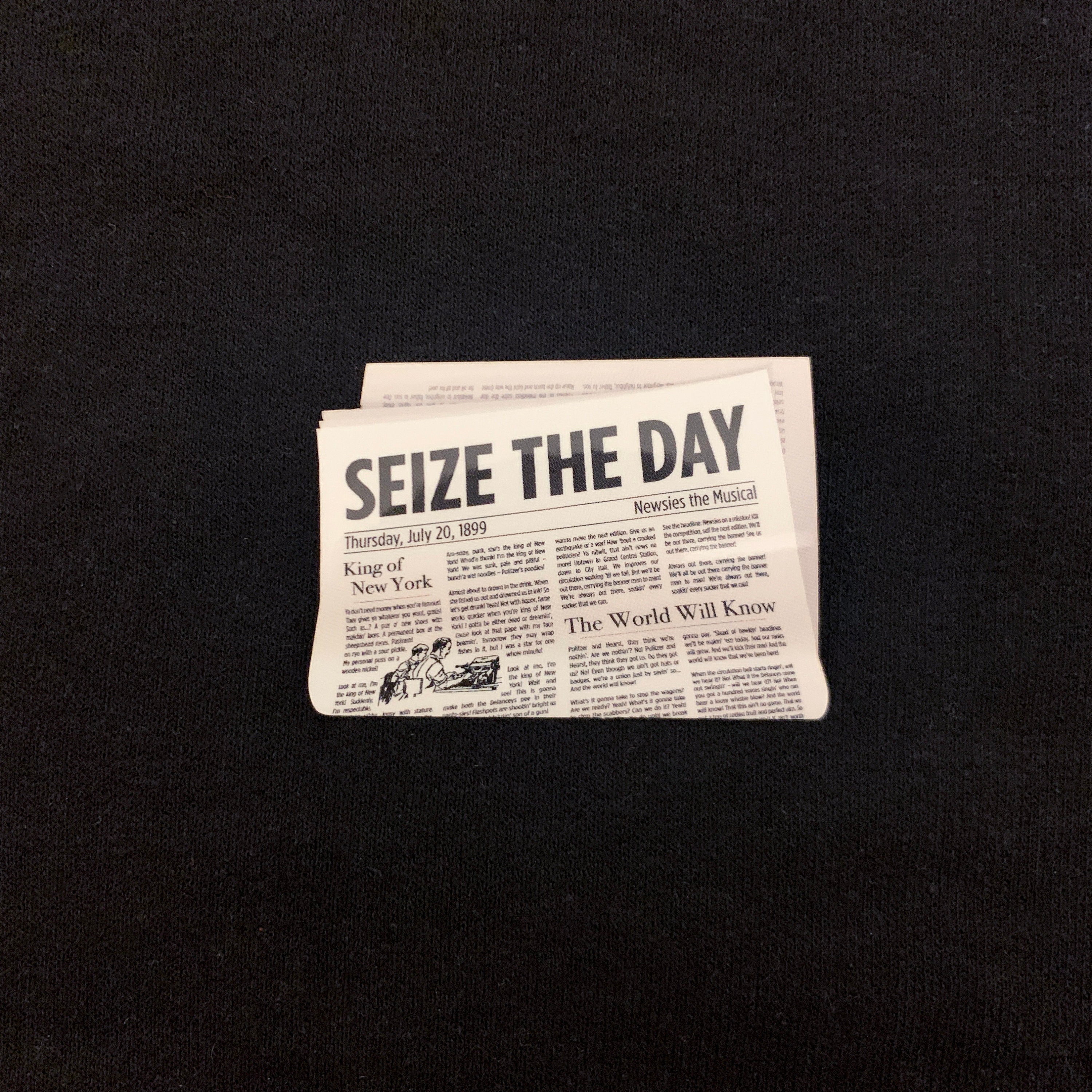 Newsies Seize the Day Sticker, Broadway Show, Musical Theater, Laptop ...