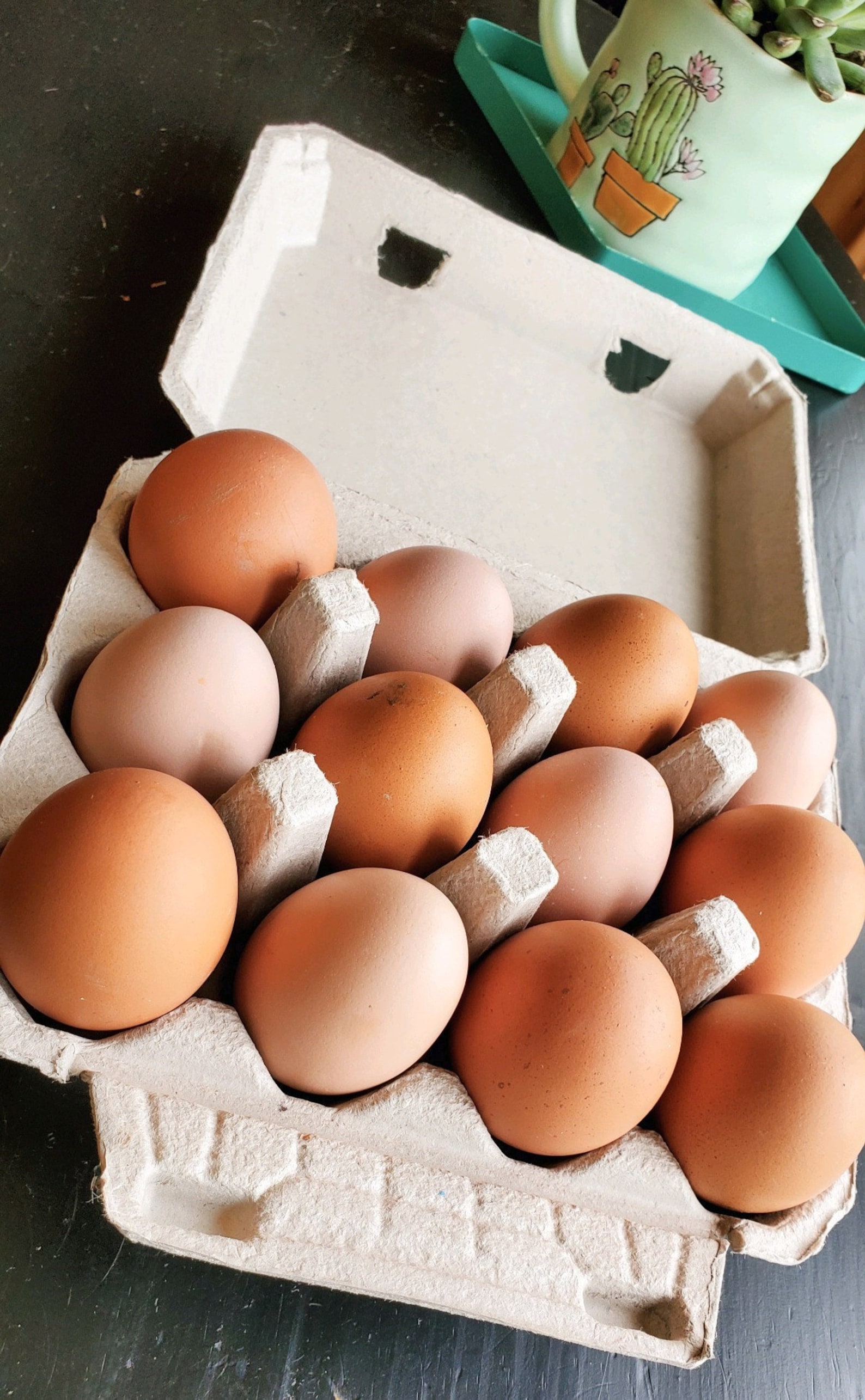 Egg Cartons Set of 10 Holds a Full Dozen Eggs 4 X 3 - Etsy