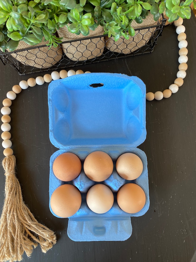 Set of 10 - Colored Variety Cartons - Holds 6 Chicken Eggs ...