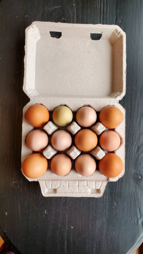 Egg Carton Dozen