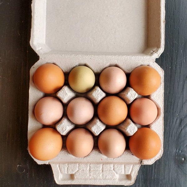 Egg Carton - Etsy