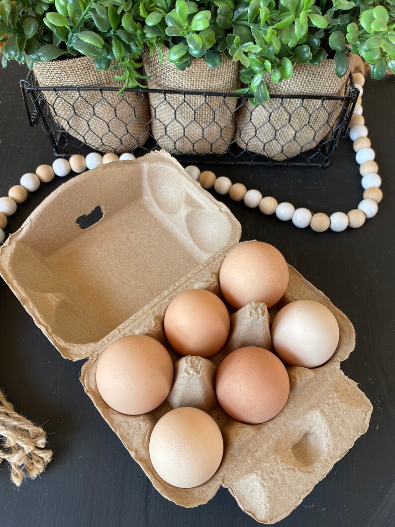 Set of 10 - Colored Variety Cartons - Holds 6 Chicken Eggs ...