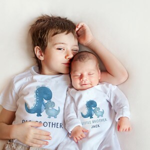 Big Brother,little Brother Dinosaur Matching Set,boys Dinosaur Tshirt ...