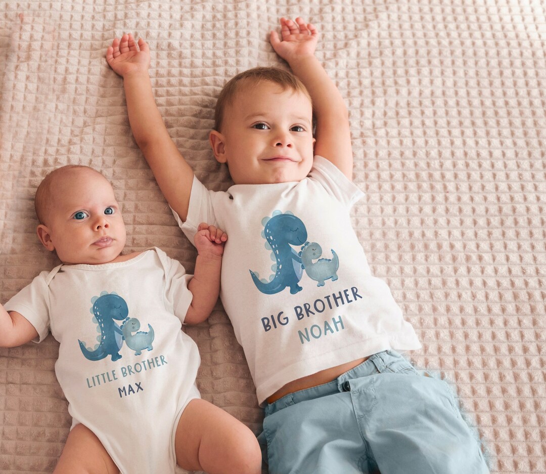 Big Brother,little Brother Dinosaur Matching Set,boys Dinosaur Tshirt ...