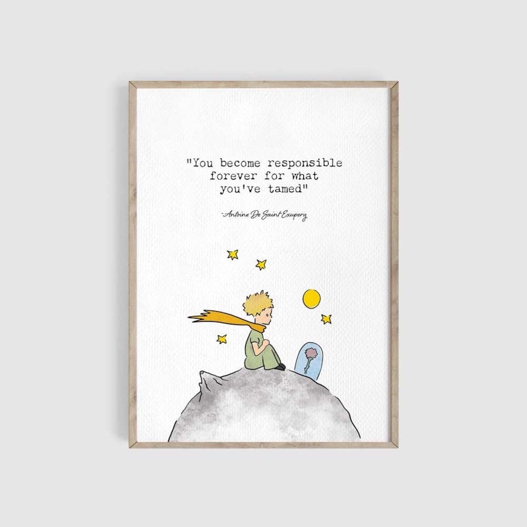The Little Prince Art Print, Le Petit Prince, Little Prince Quote ...