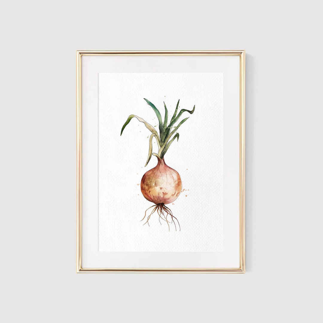 Onion Watercolor Print, Kitchen Wall Art, Onion Print, Food Print ...