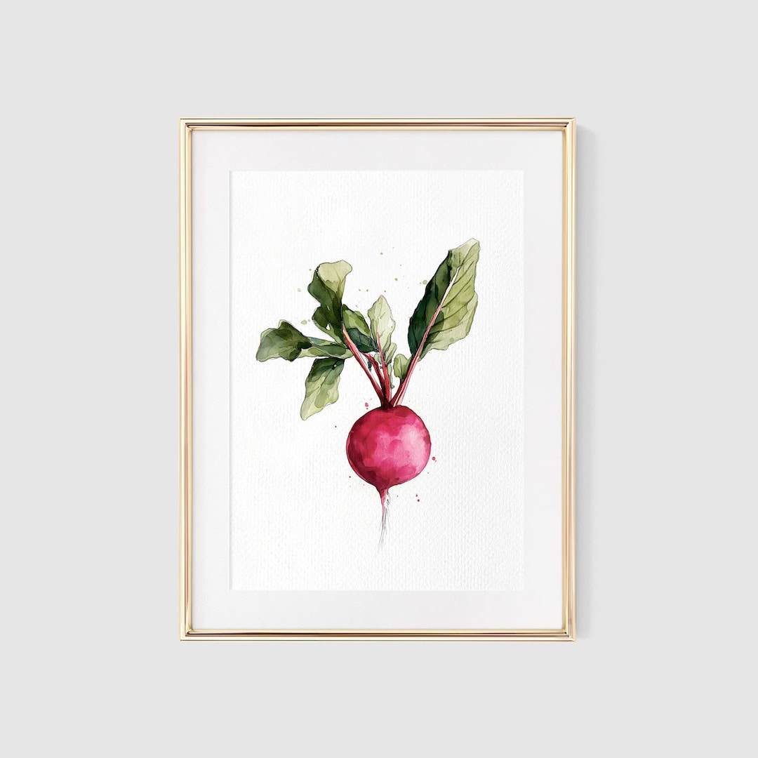 Radish Watercolor Print, Kitchen Wall Art, Radish Print, Food Print ...