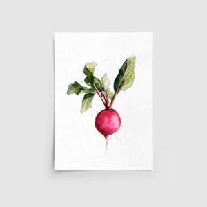 Radish Watercolor Print, Kitchen Wall Art, Radish Print, Food Print ...