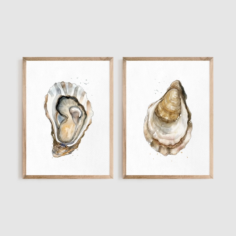 Shell Watercolor - Etsy