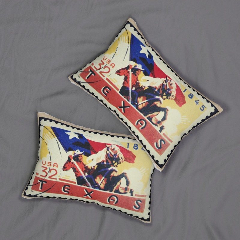 Texas Pillow - Etsy