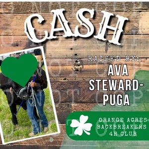 Stock Show Barn Sign, Barn Stall Sign, Fair Sign, Show Animal Sign ...