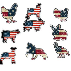 Stock Show Signs, Show Pig Sign, Show Cow Sign, Livestock Show Stall ...