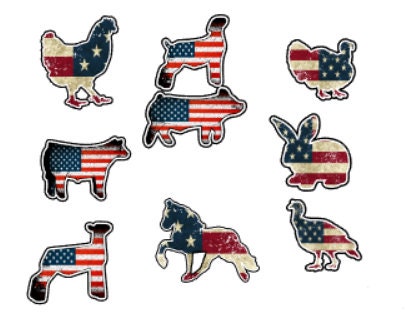 Stock Show Signs Show Pig Sign Show Cow Sign Livestock Show - Etsy