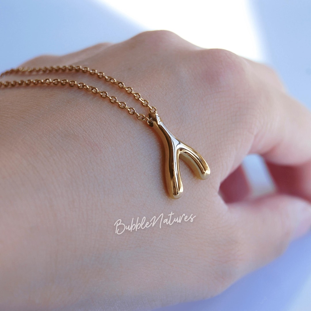 Wishbone Necklace, Charm Necklace, Lucky Symbol Chain Necklace Gift for ...
