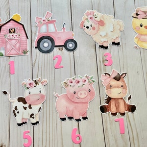 Set of 7 Pink Farm Centerpieces Picks Girl Farm Party - Etsy