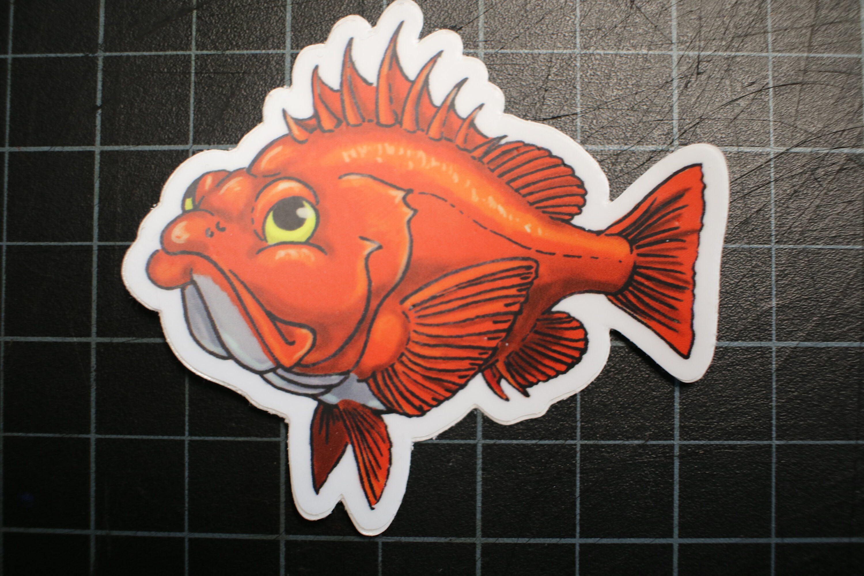 Rockfish Sticker - Etsy
