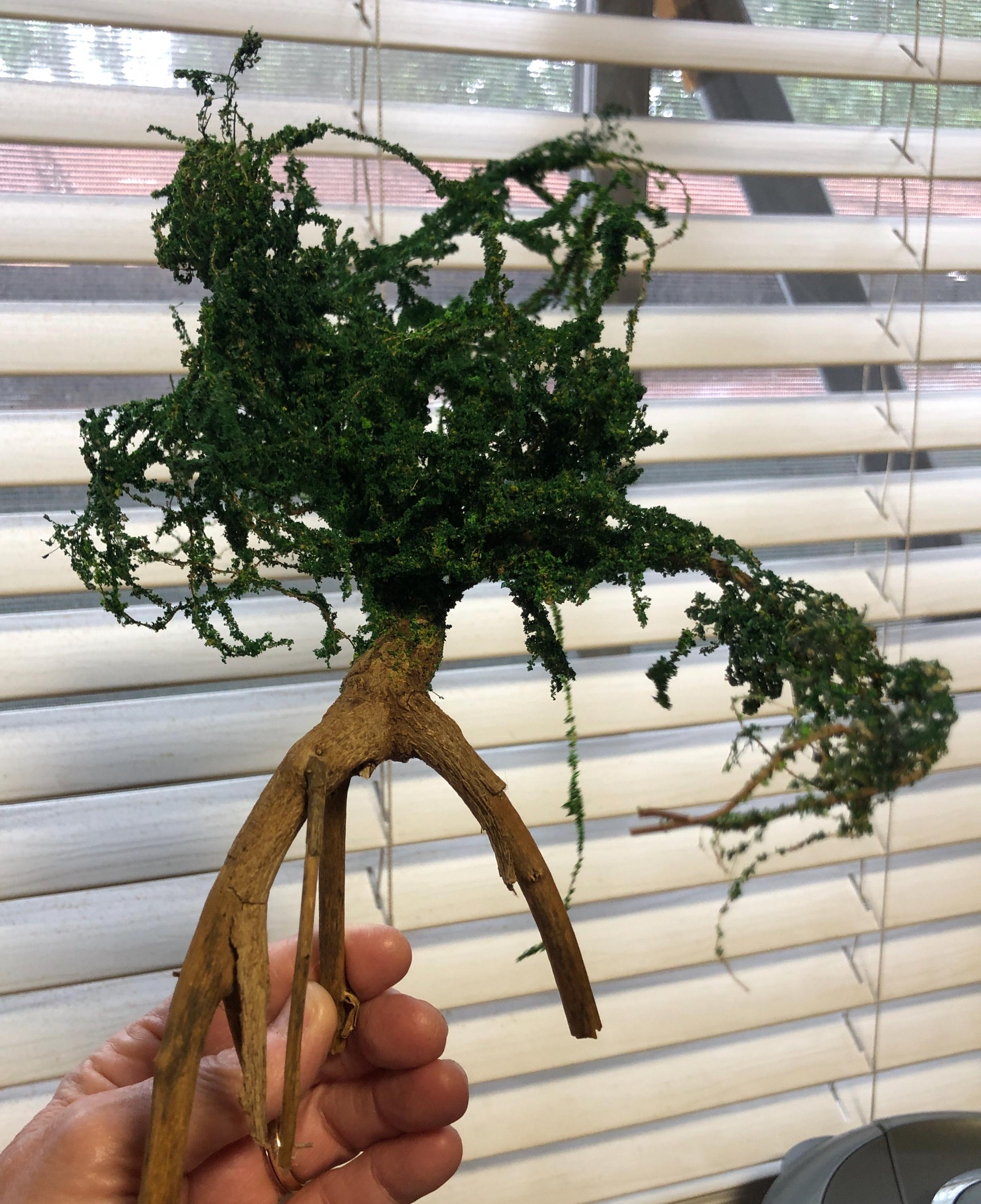 Model Railroad Swamp Trees: Diorama Scenery - Etsy