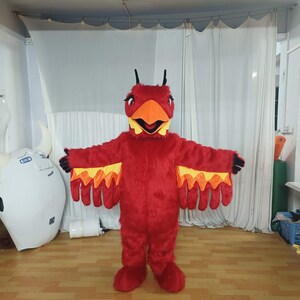 Custom Costume and Head - Custom Mascot Head and Full Mascot + Message ...
