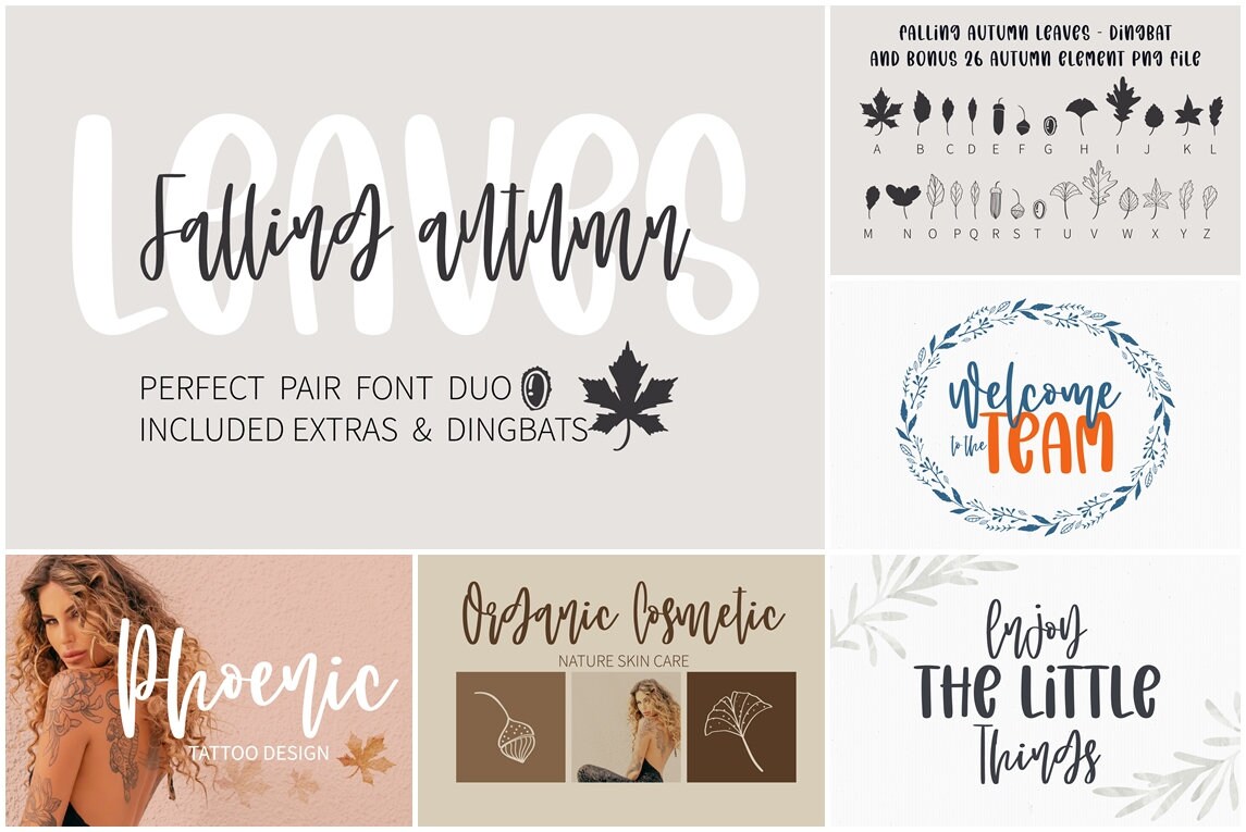 Big Bundle of 10 Handwritten Fonts Modern Calligraphy Font - Etsy