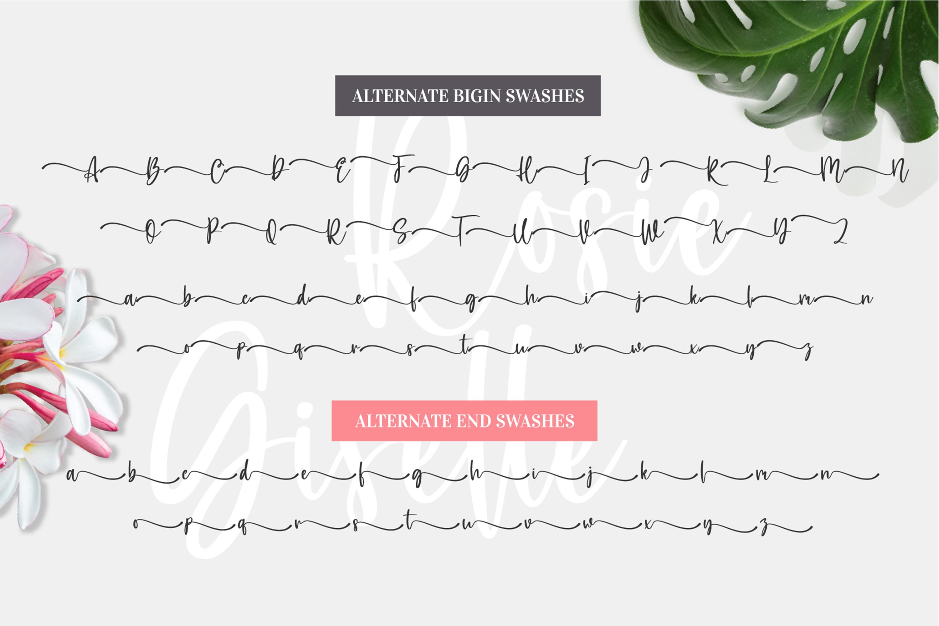 Rosie Giselle Font Handwritten Script Font Cursive Font - Etsy