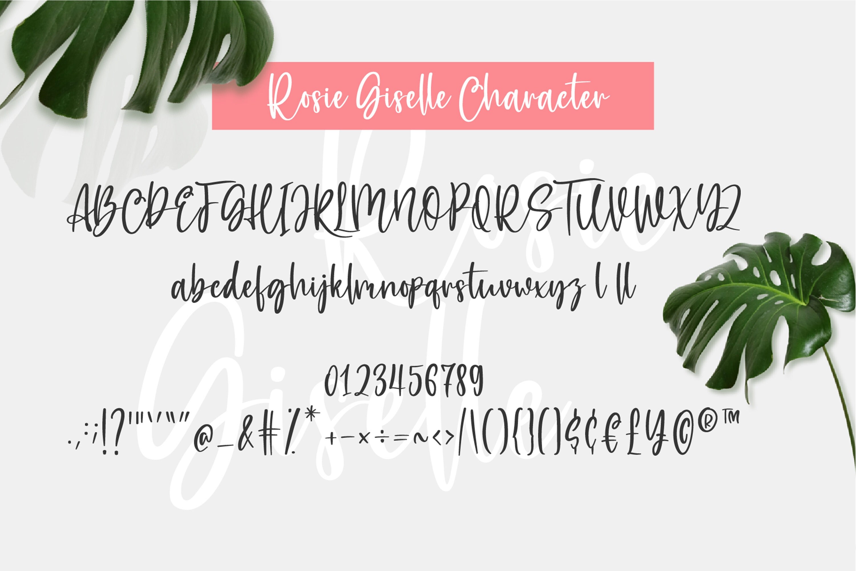 Rosie Giselle Font Handwritten Script Font Cursive Font - Etsy