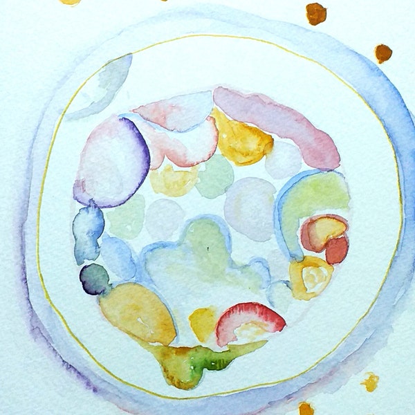 Embryo Art - Etsy