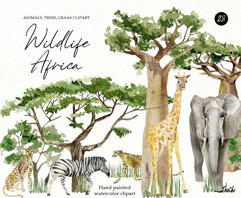 Watercolor Wild Africa Animal Savannah clipart. Elephant | Etsy
