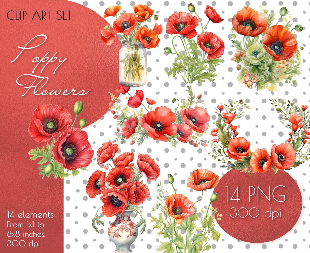 Watercolor Poppy Flower PNG Clip Art Greenery Clipart Digital - Etsy