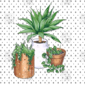 Potted Plants PNG Clip Art Greenery Clipart Digital Download - Etsy