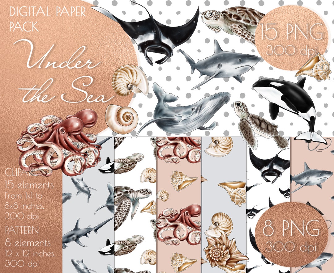 Ocean Animals PNG Clip Art Seamless Pattern Bundle Digital Download - Etsy
