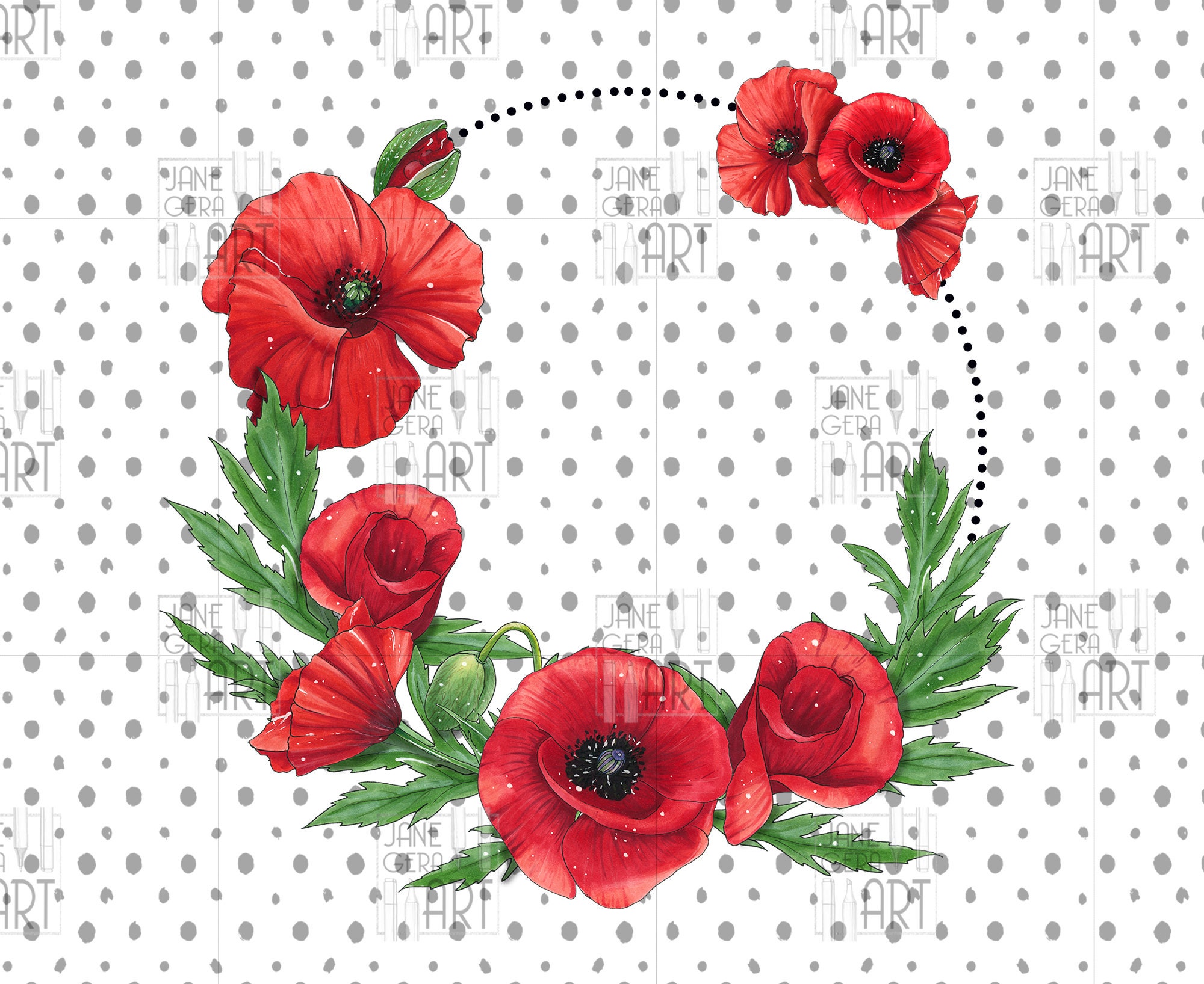 Red Poppy Flower Clipart Botanical Clip Art Digital Download - Etsy