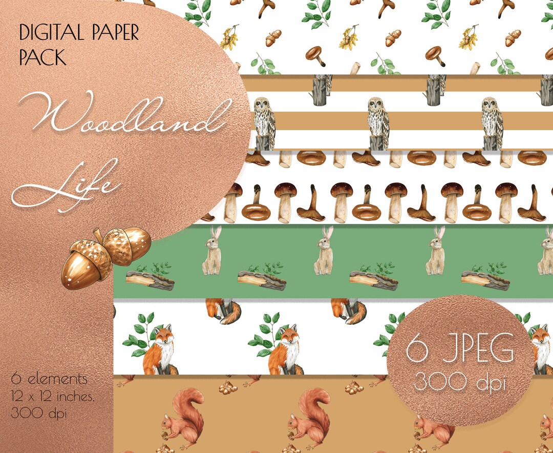 Woodland Animals Digital Paper Forest Animals Seamless Pattern - Etsy