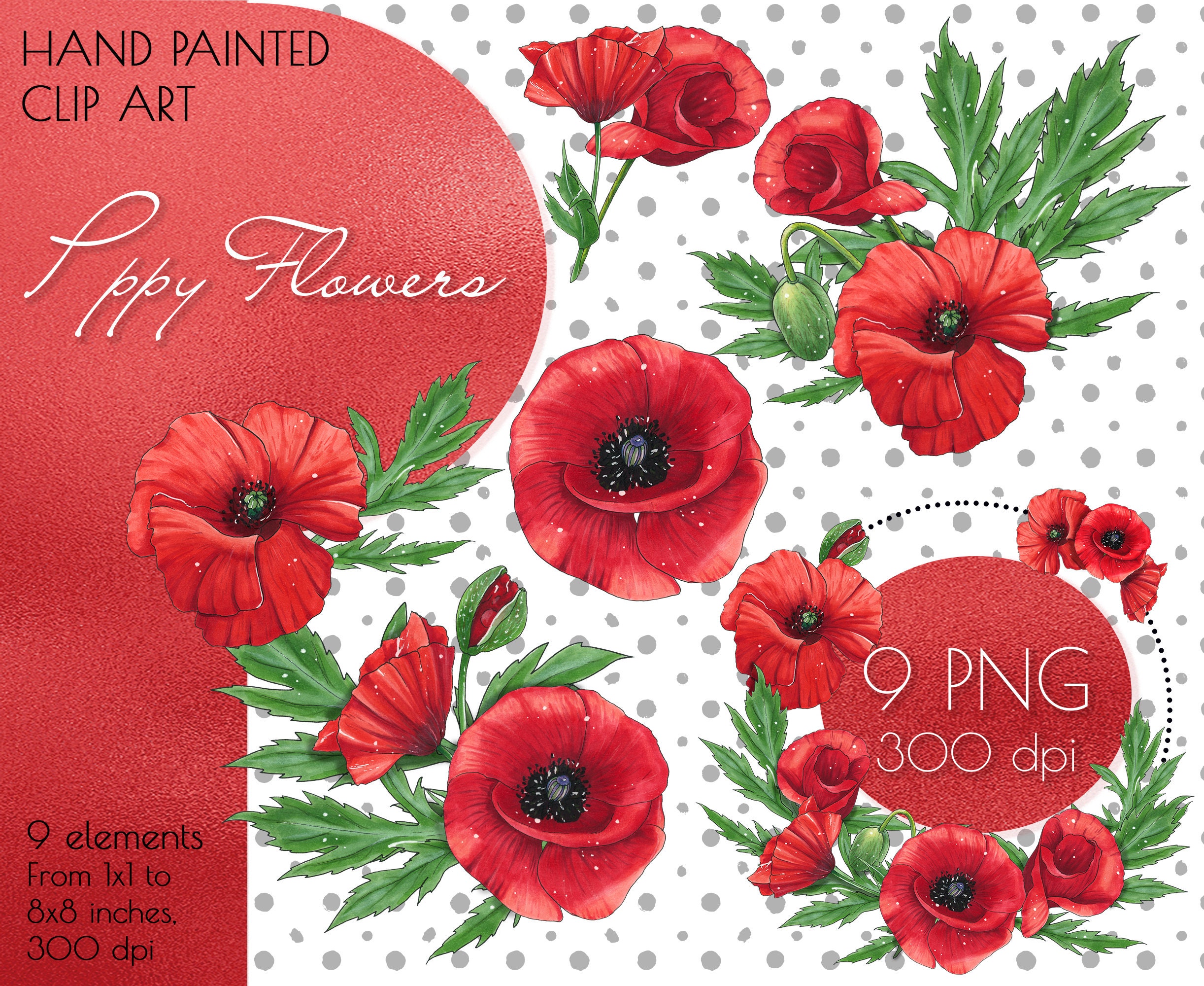 Red Poppy Flower Clipart Botanical Clip Art Digital Download - Etsy