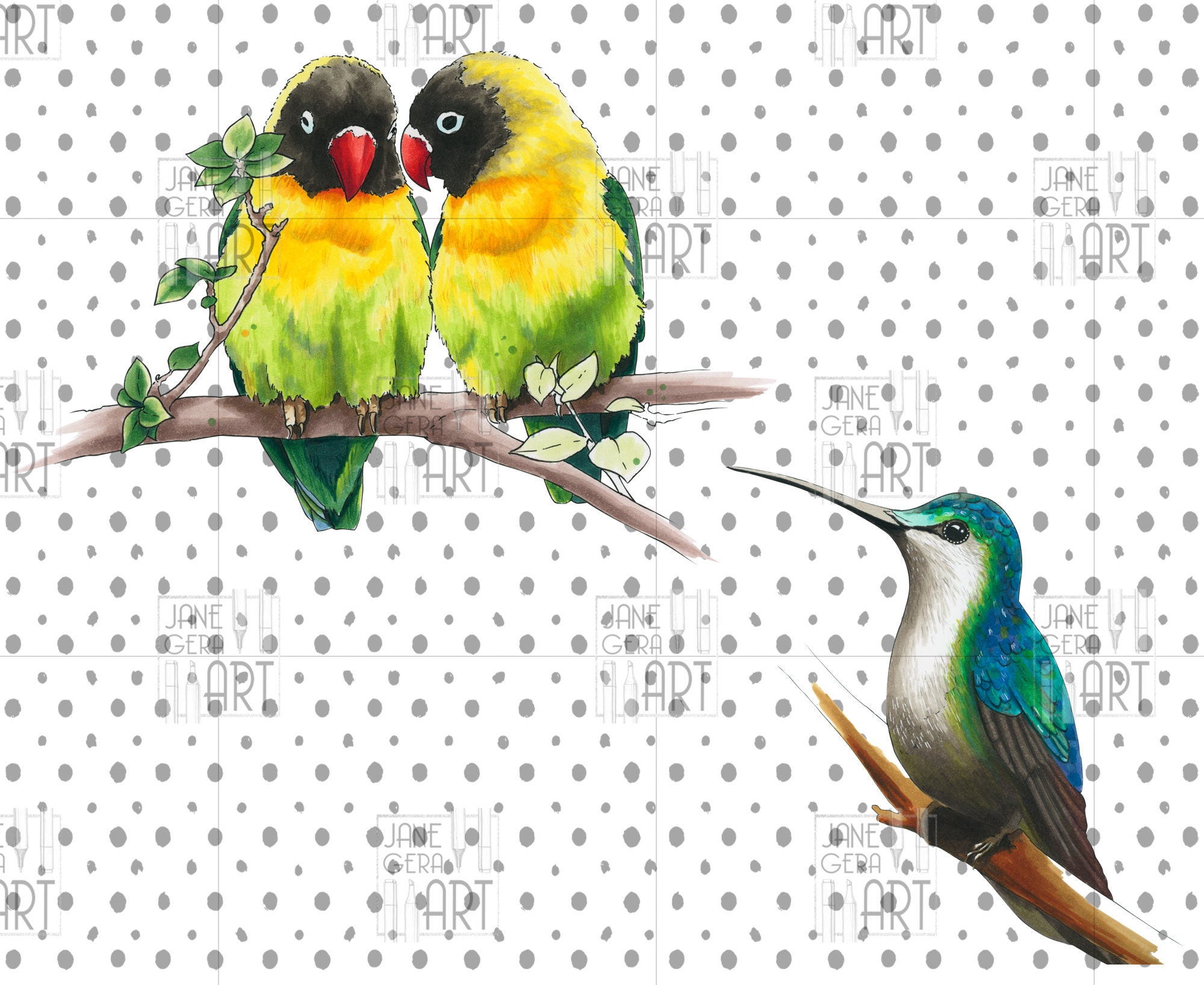 Rainbow Birds Clipart Tropical Flower PNG Clip Art Digital - Etsy