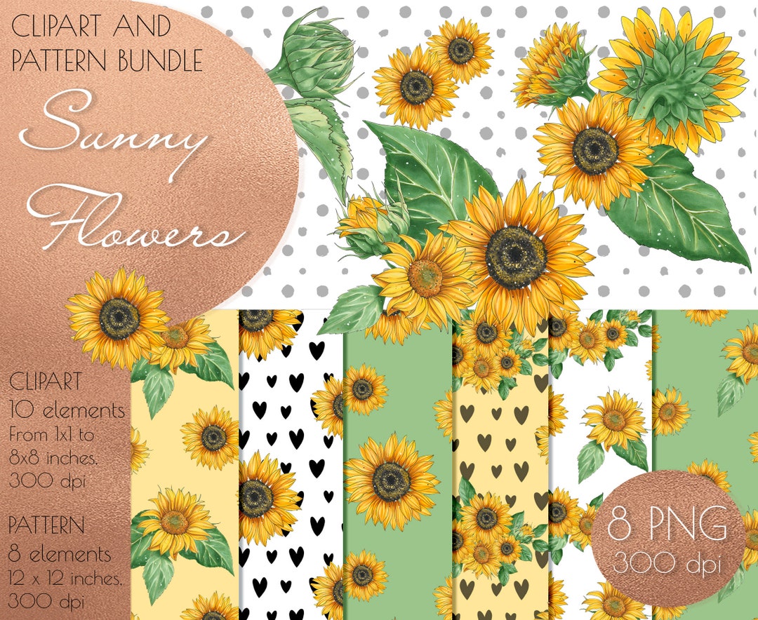 Sunflower PNG Clip Art Seamless Pattern Bundle Digital Download - Etsy