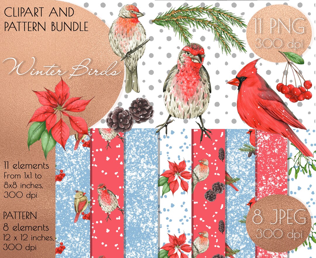 Winter Birds Christmas Clipart Seamless Pattern Bundle Digital Download ...
