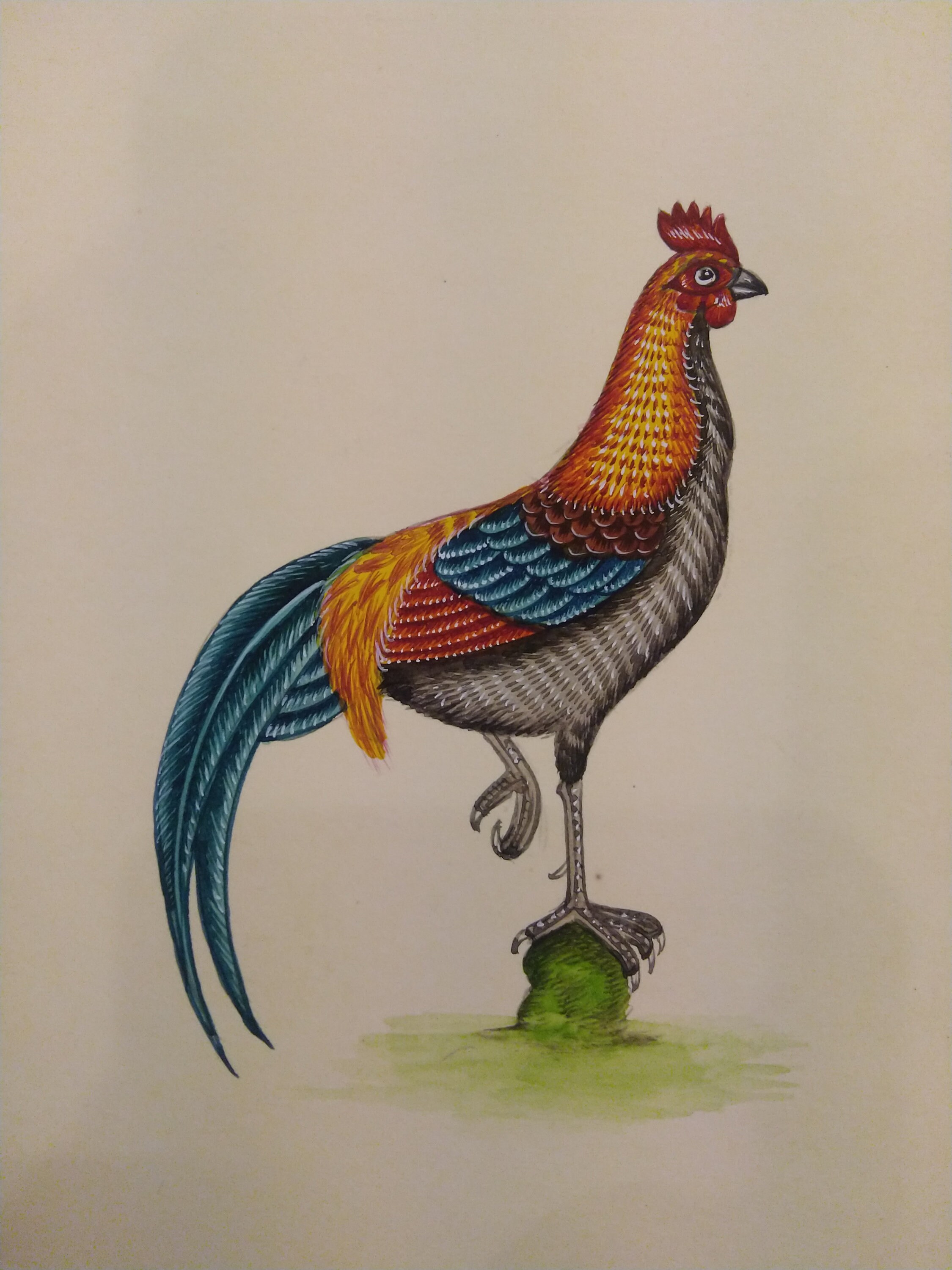 Fine Hand Painted Hen Chicken Indian Miniature Art Fine | Etsy