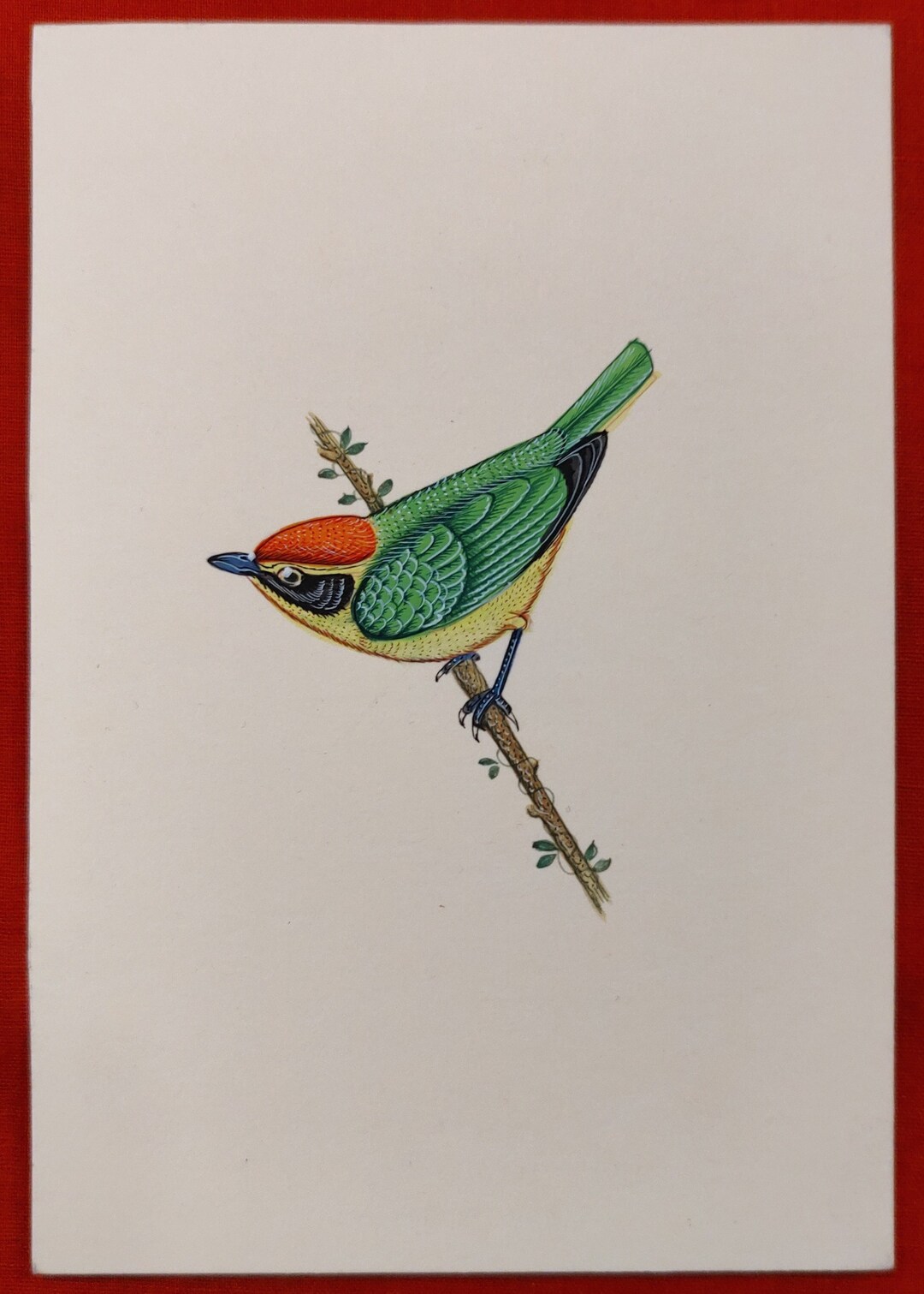 Original Hand Painted Green Sparrow Bird Miniature Painting on Paper ...