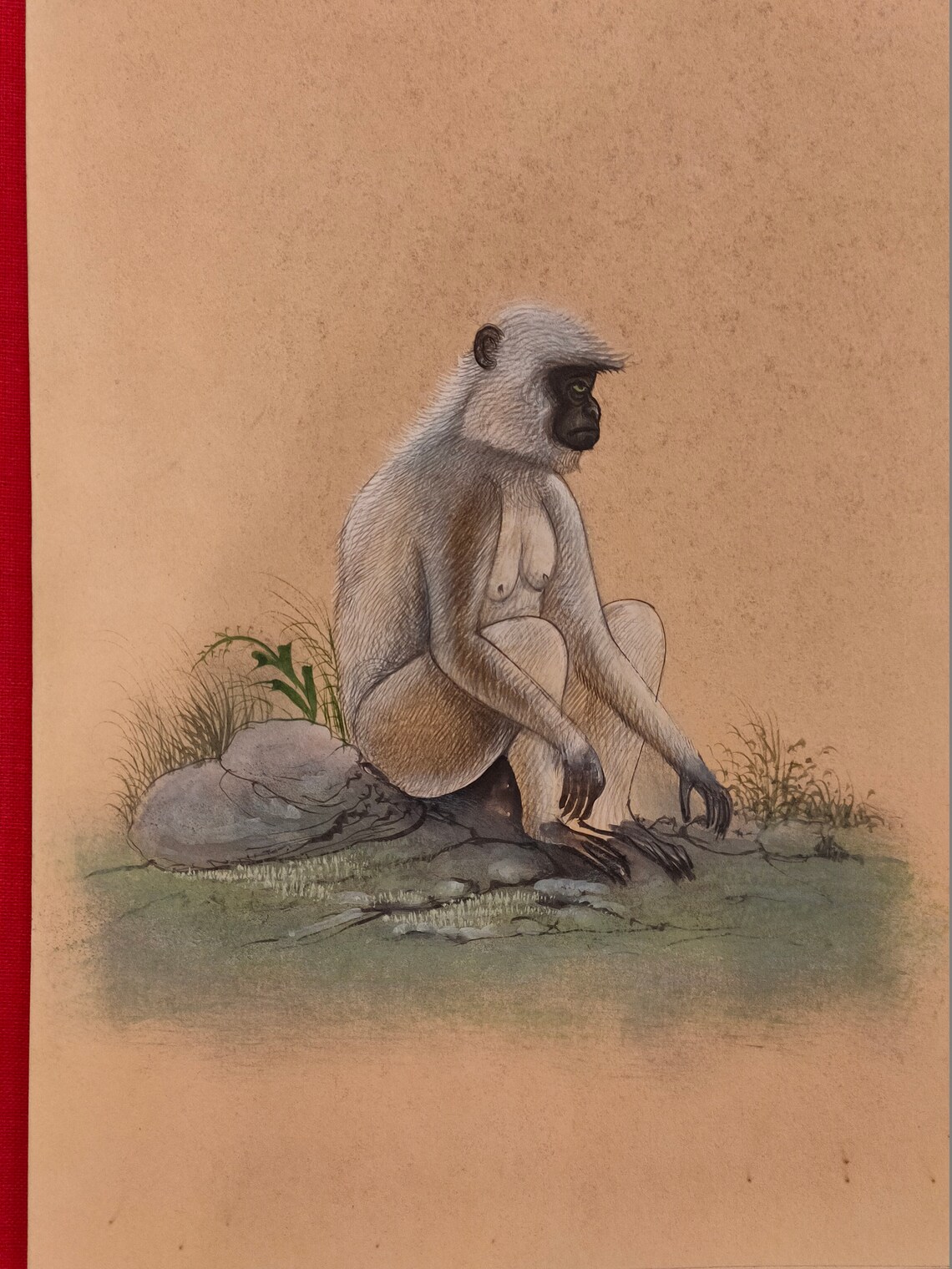 Hand Painted Monkey Detailed Miniature Painting Rare Detailed | Etsy