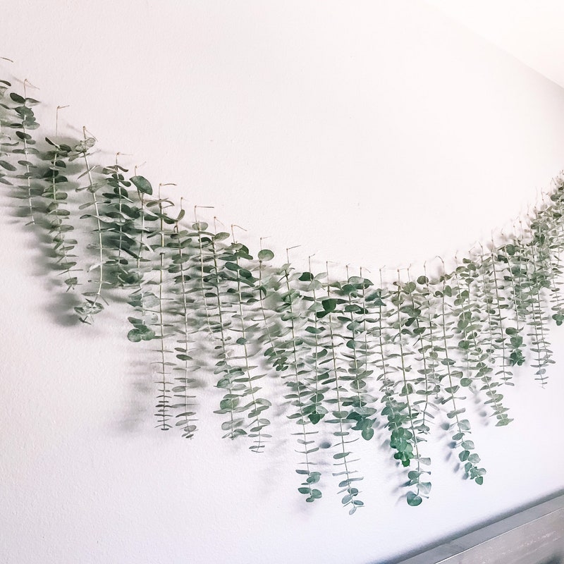 Eucalyptus Decor - Etsy