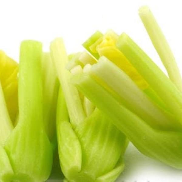 Miniature Celery - Etsy